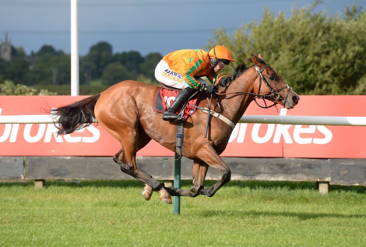 Sarah Humphrey | Dual Purpose Racehorse Trainer based at Yen Hall Farm ...