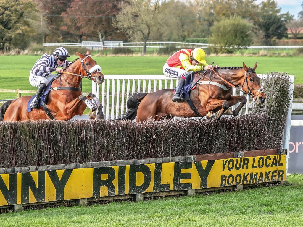 HORSE RACING | Sarah Humphrey | Dual Purpose Racehorse Trainer based at ...