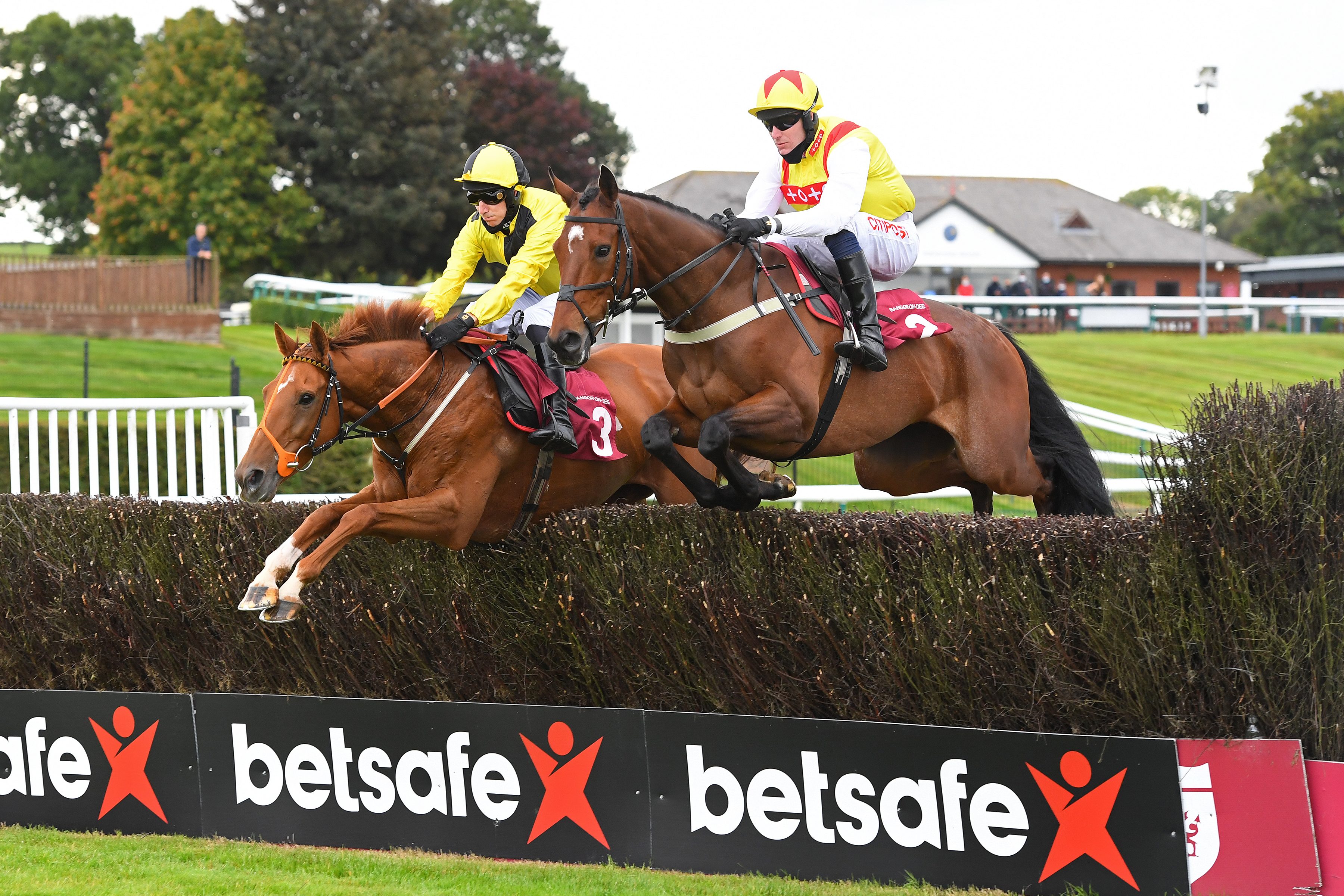brecon-hill-showing-brilliant-jumping-style-at-bangor-29-sept-2020 ...