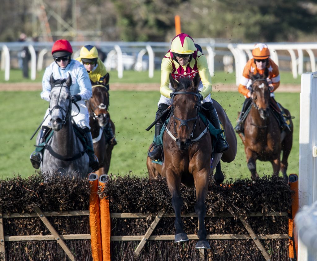 Glimpse of More Gold to Come | Sarah Humphrey | Dual Purpose Racehorse ...