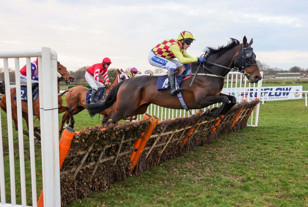 Sean Crowned Again | Sarah Humphrey | Dual Purpose Racehorse Trainer ...