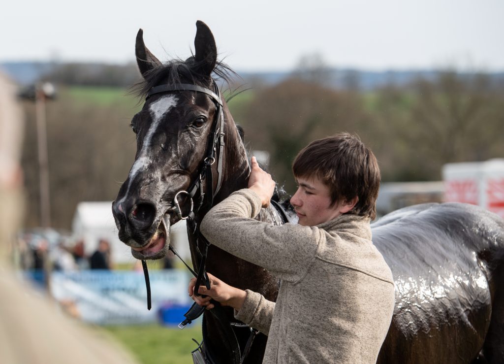 Benny Flies High | Sarah Humphrey | Dual Purpose Racehorse Trainer ...