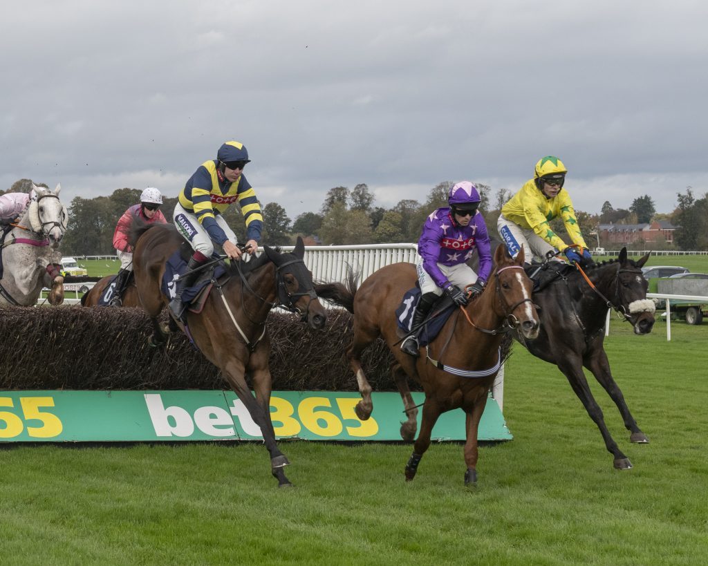 GLORY SHINES AT WORCESTER | Sarah Humphrey | Dual Purpose Racehorse ...