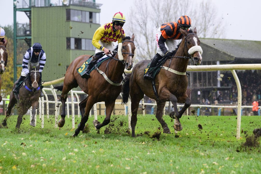 Wet and busy day at Fakenham | Sarah Humphrey | Dual Purpose Racehorse ...