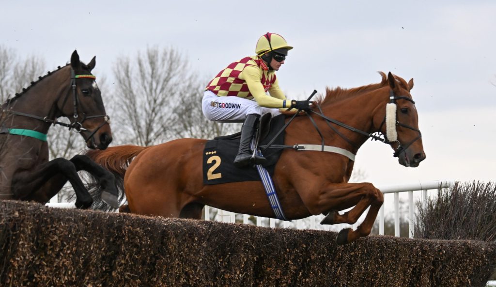 Le Tueur slays the field | Sarah Humphrey | Dual Purpose Racehorse ...