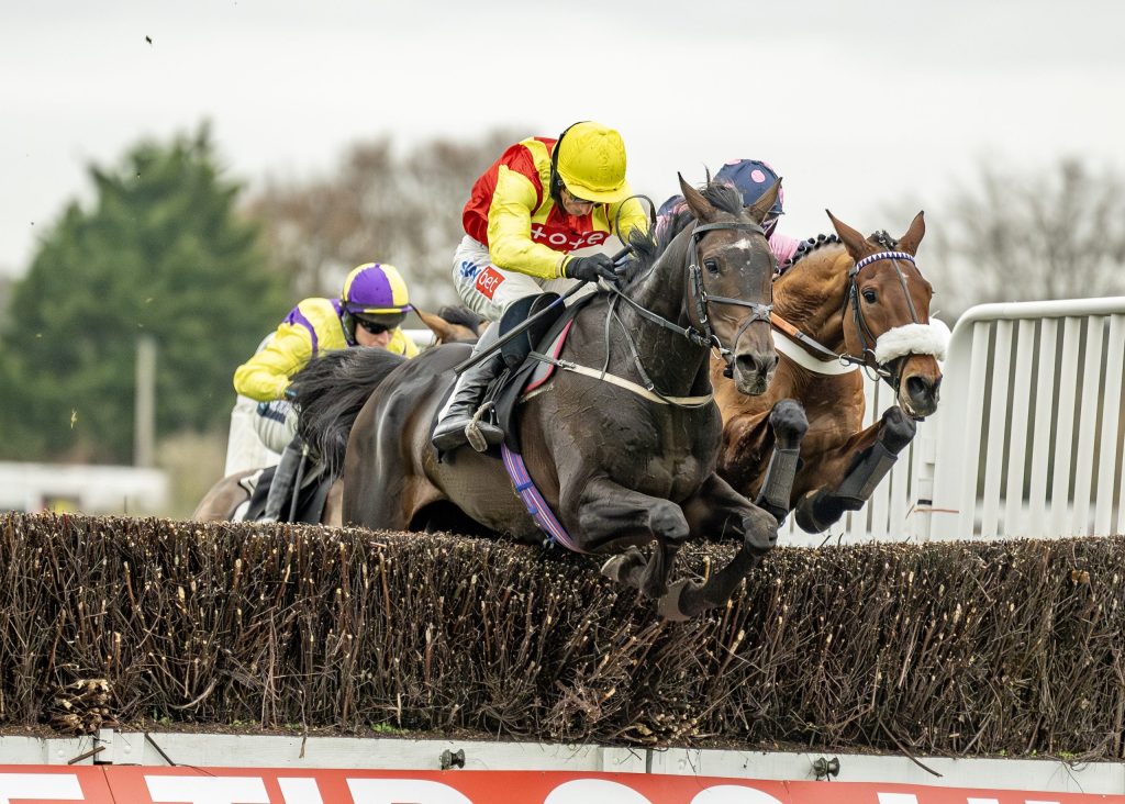 Milan Scores at Plumpton | Sarah Humphrey | Dual Purpose Racehorse ...