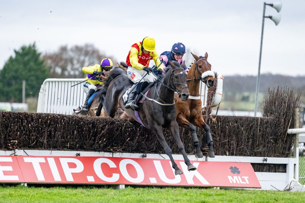Milan Scores at Plumpton | Sarah Humphrey | Dual Purpose Racehorse ...