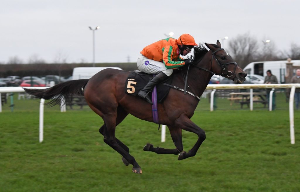 Jet-Propelled Start to 2024! | Sarah Humphrey | Dual Purpose Racehorse ...