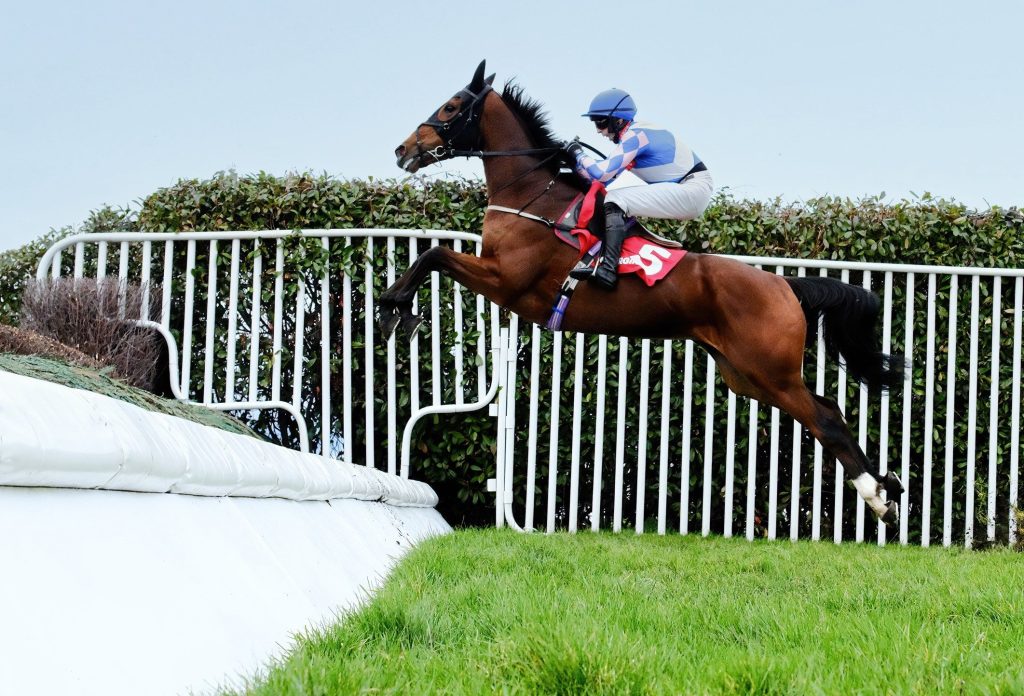 Grade 1 Rockstar!! | Sarah Humphrey | Dual Purpose Racehorse Trainer ...