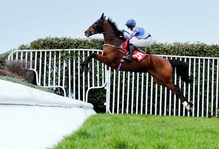 Grade 1 Rockstar!! | Sarah Humphrey | Dual Purpose Racehorse Trainer ...