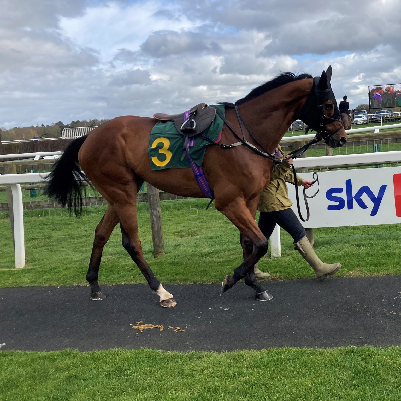 daniel-deronda-placed-at-fakenham-15-march-2024-cropped-arh | Sarah ...