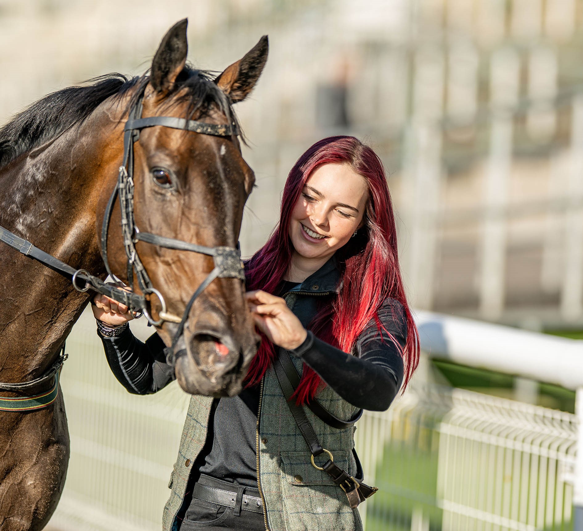 four-towns-and-skye-after-winning-at-fontwell-22-september-2025-image ...