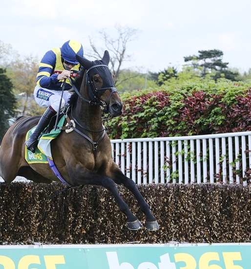 Sarah Humphrey | Dual Purpose Racehorse Trainer based at Yen Hall Farm ...