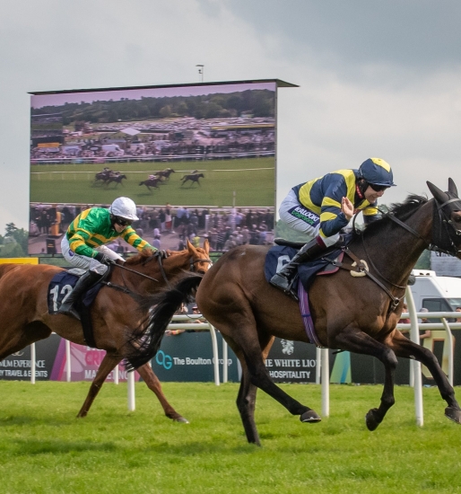 Sarah Humphrey | Dual Purpose Racehorse Trainer based at Yen Hall Farm ...