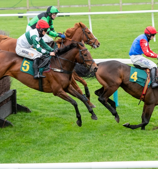 Sarah Humphrey | Dual Purpose Racehorse Trainer based at Yen Hall Farm ...