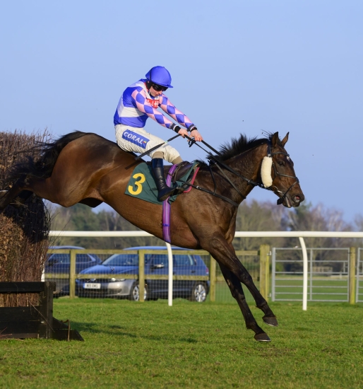 Sarah Humphrey | Dual Purpose Racehorse Trainer based at Yen Hall Farm ...