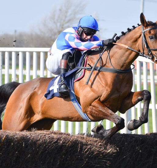 Sarah Humphrey | Dual Purpose Racehorse Trainer based at Yen Hall Farm ...