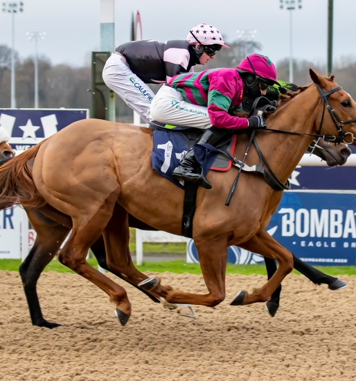 Sarah Humphrey | Dual Purpose Racehorse Trainer based at Yen Hall Farm ...